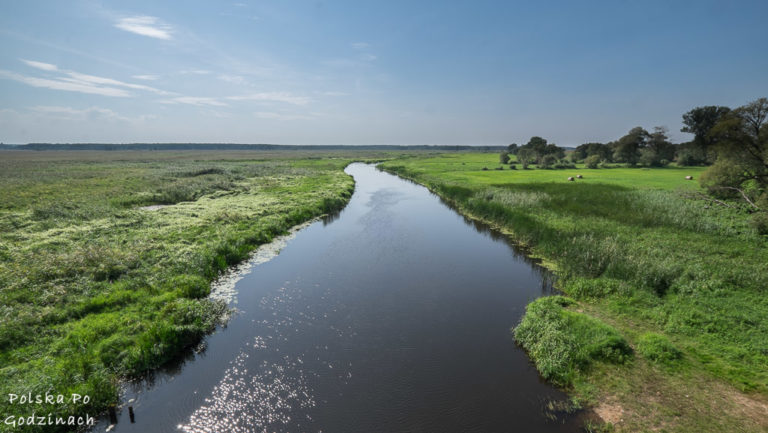 Narwiański Park Narodowy. Z nurtem dzikiej Narwi.