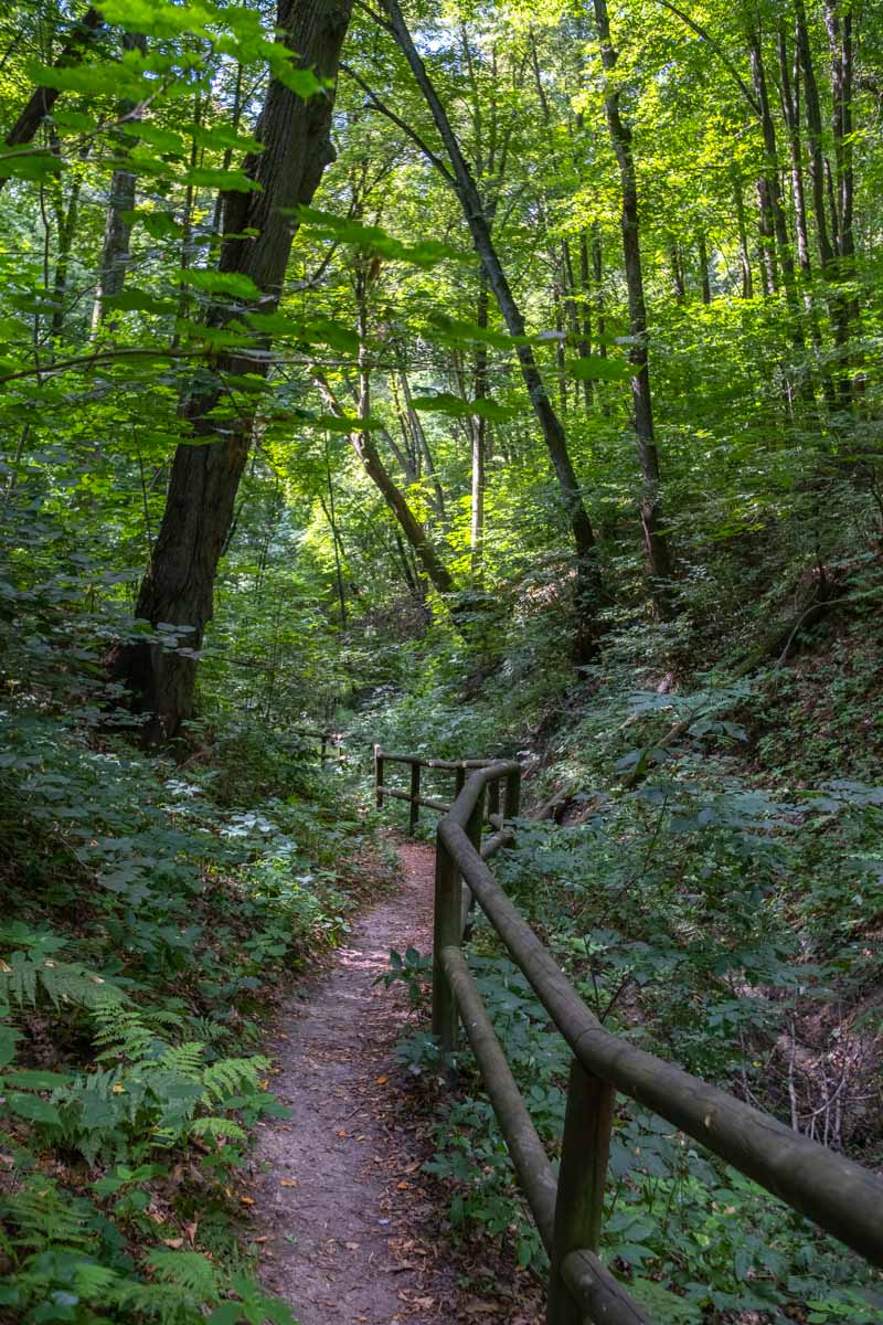 Nałęczów atrakcje. 15 miejsc, które warto zobaczyć w Nałęczowie